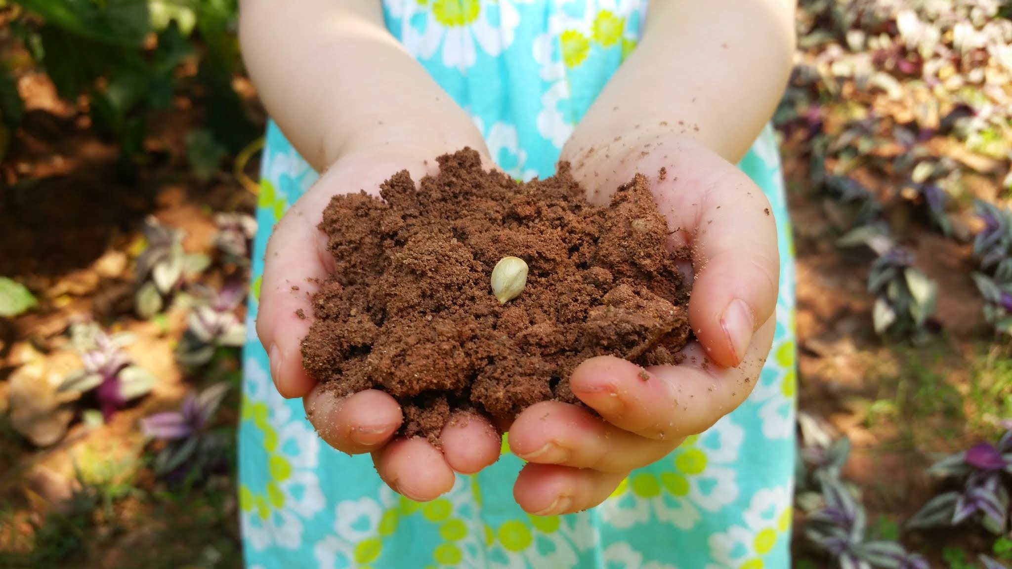 Bicultural. Or, the contradictions of identity. – Graham Noble